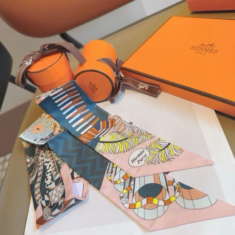 Budget-friendly Hermes Silk