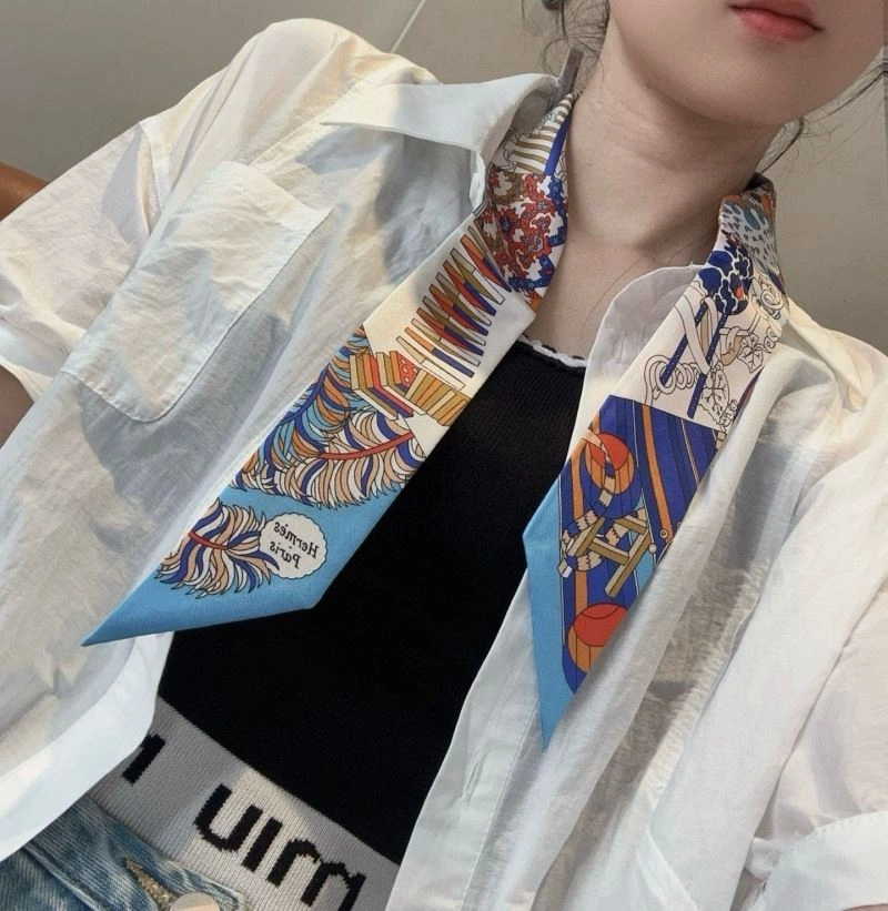 Hermes Silk