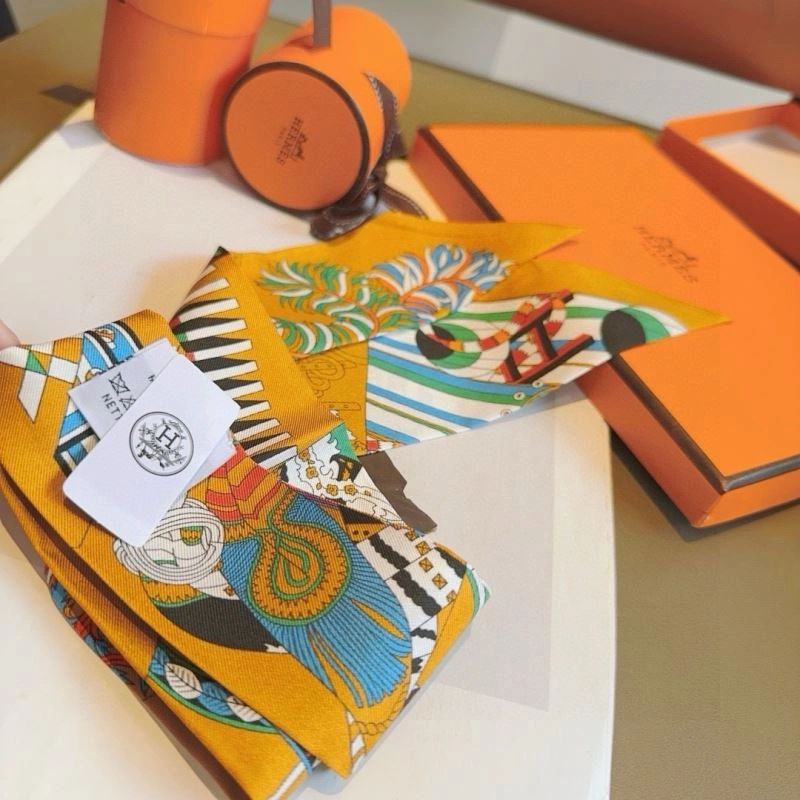 Reasonably priced Hermes Silk