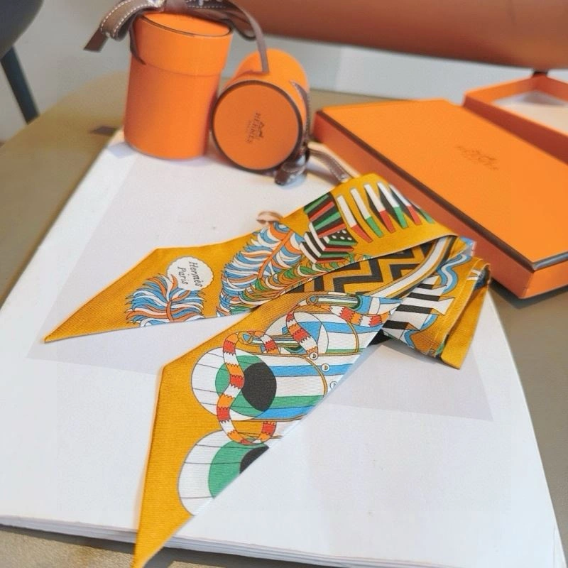 Reasonably priced Hermes Silk