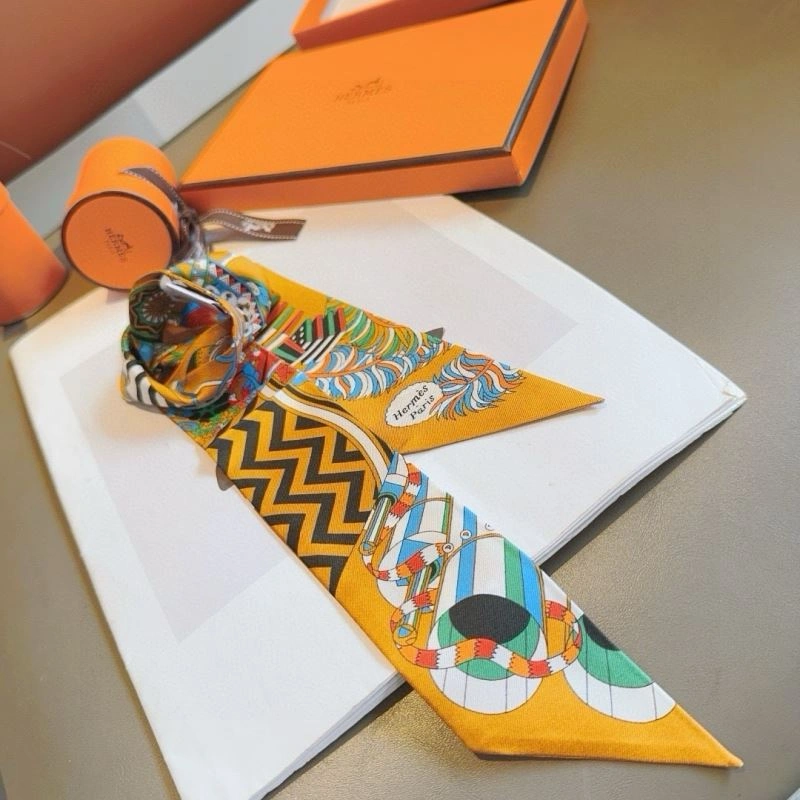 Reasonably priced Hermes Silk