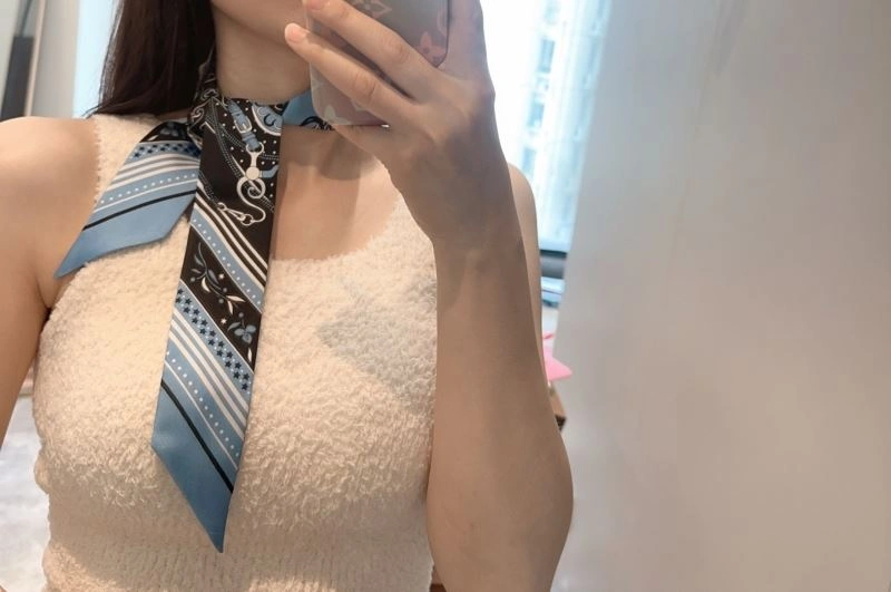Hermes Silk