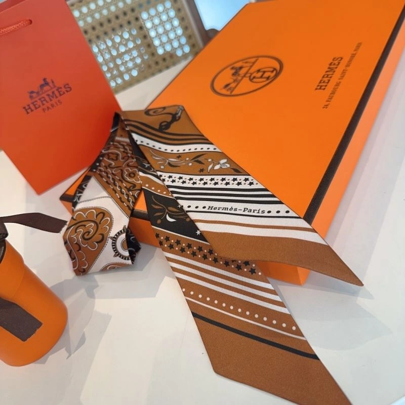 Reasonably priced Hermes Silk