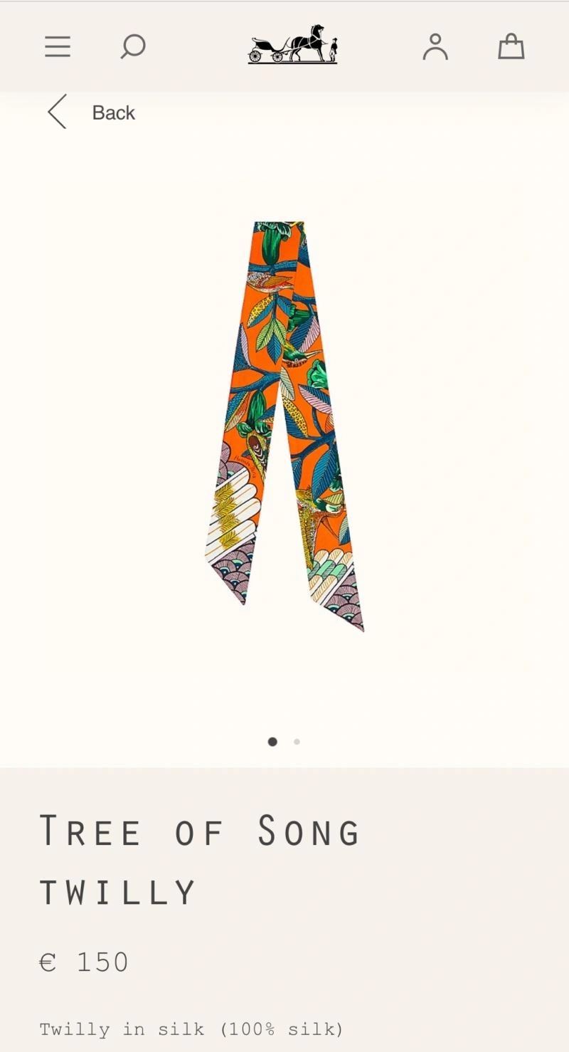 Hermes Silk