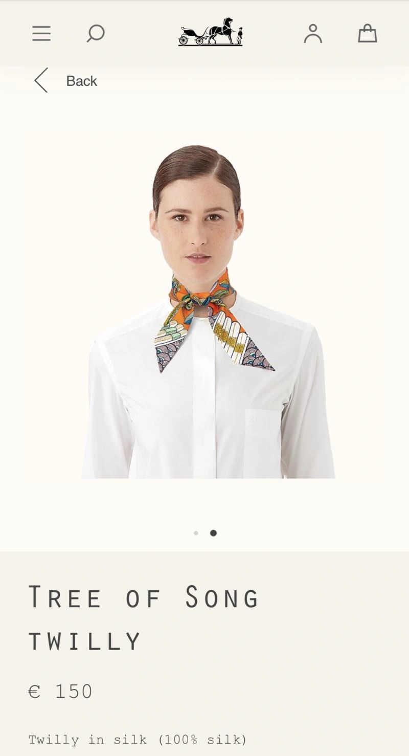 Inexpensive Hermes Silk