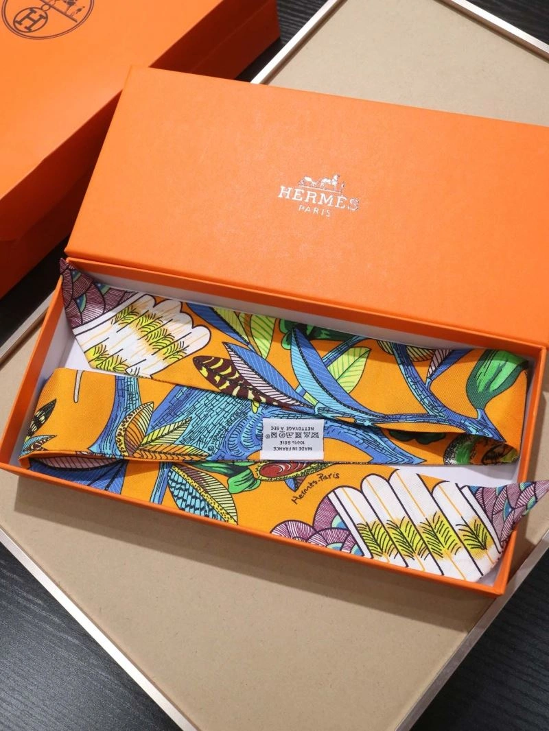 Inexpensive Hermes Silk