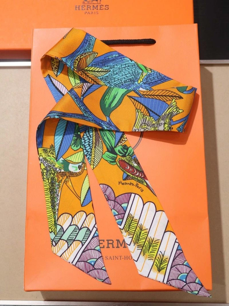 Inexpensive Hermes Silk