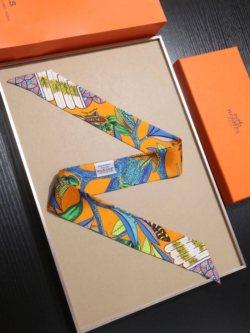 Inexpensive Hermes Silk