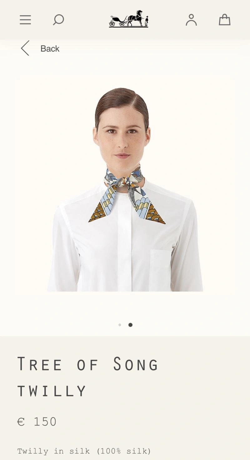 Hermes Silk