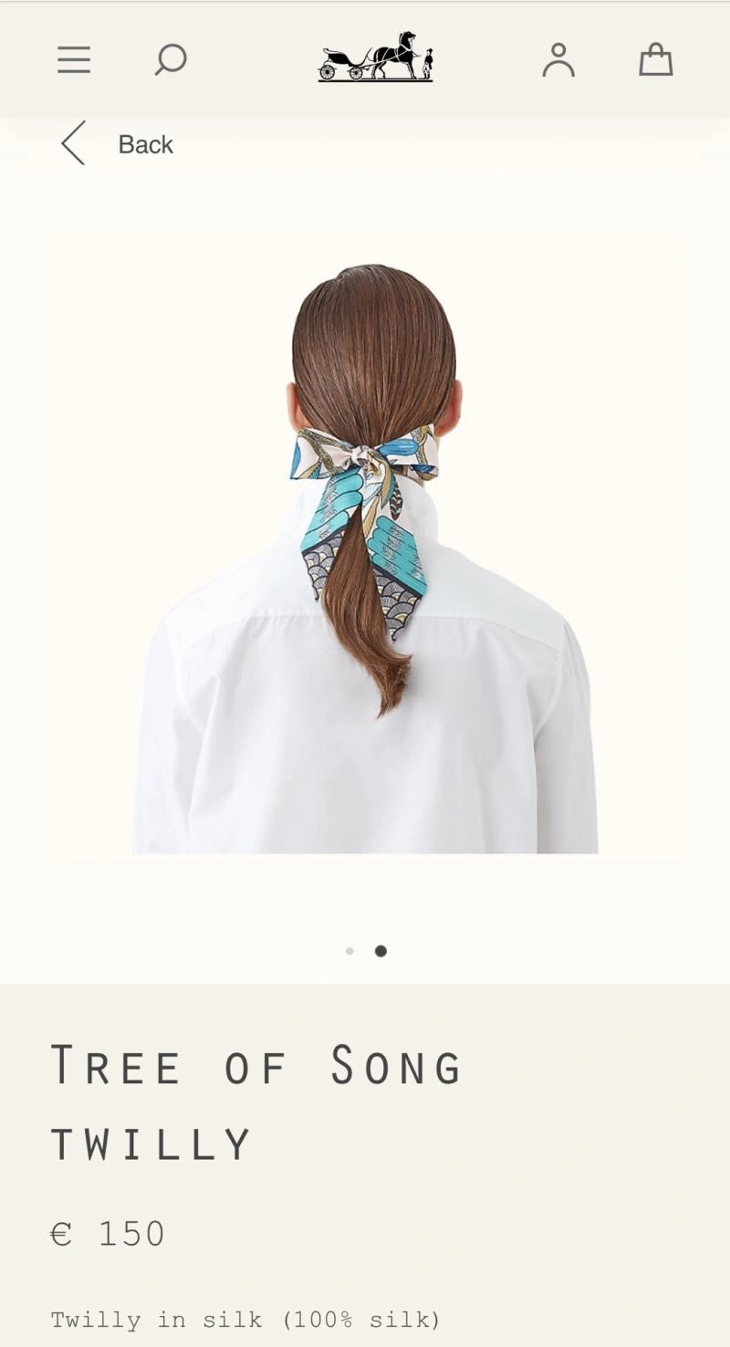 Hermes Silk