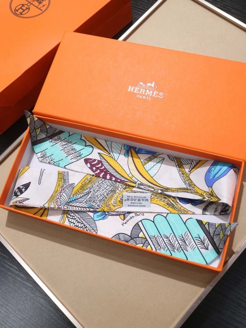 Budget-friendly Hermes Silk