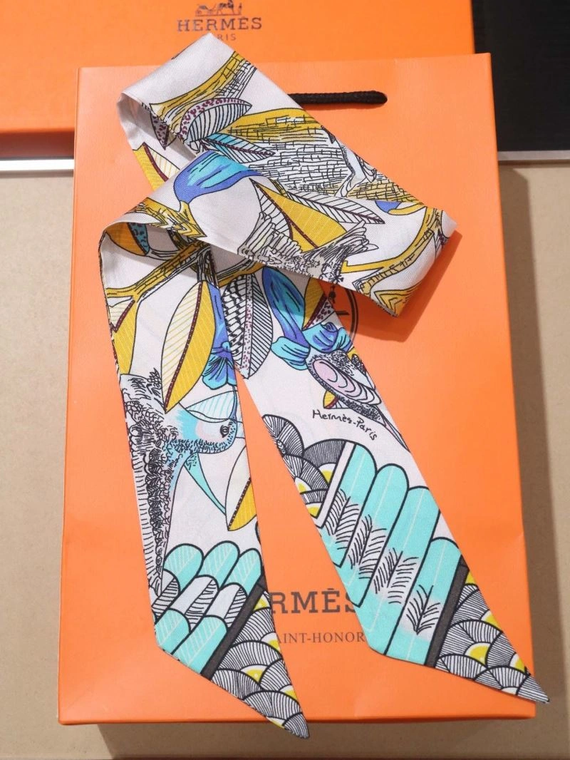 Budget-friendly Hermes Silk