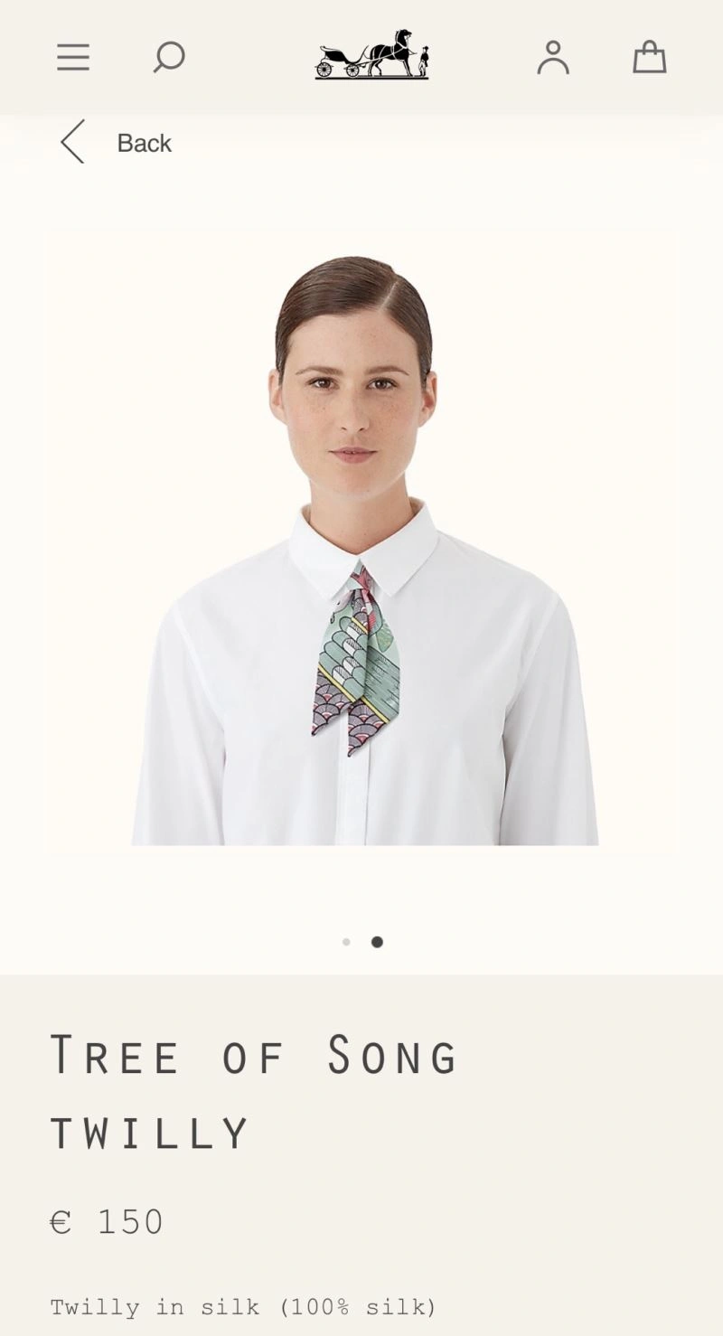 Hermes Silk