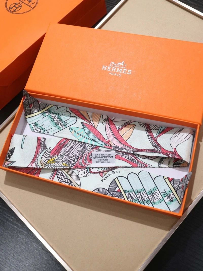 Indistinguishable Hermes Silk