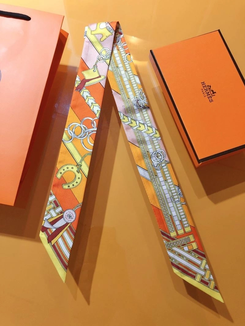 Indistinguishable Hermes Silk