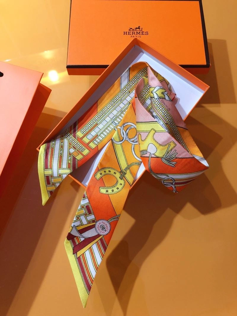 Indistinguishable Hermes Silk