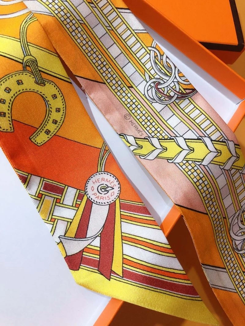 Indistinguishable Hermes Silk
