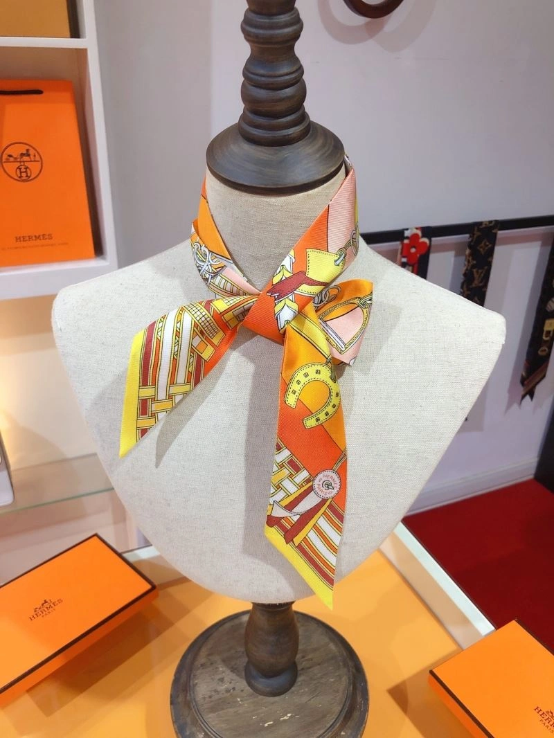 Indistinguishable Hermes Silk