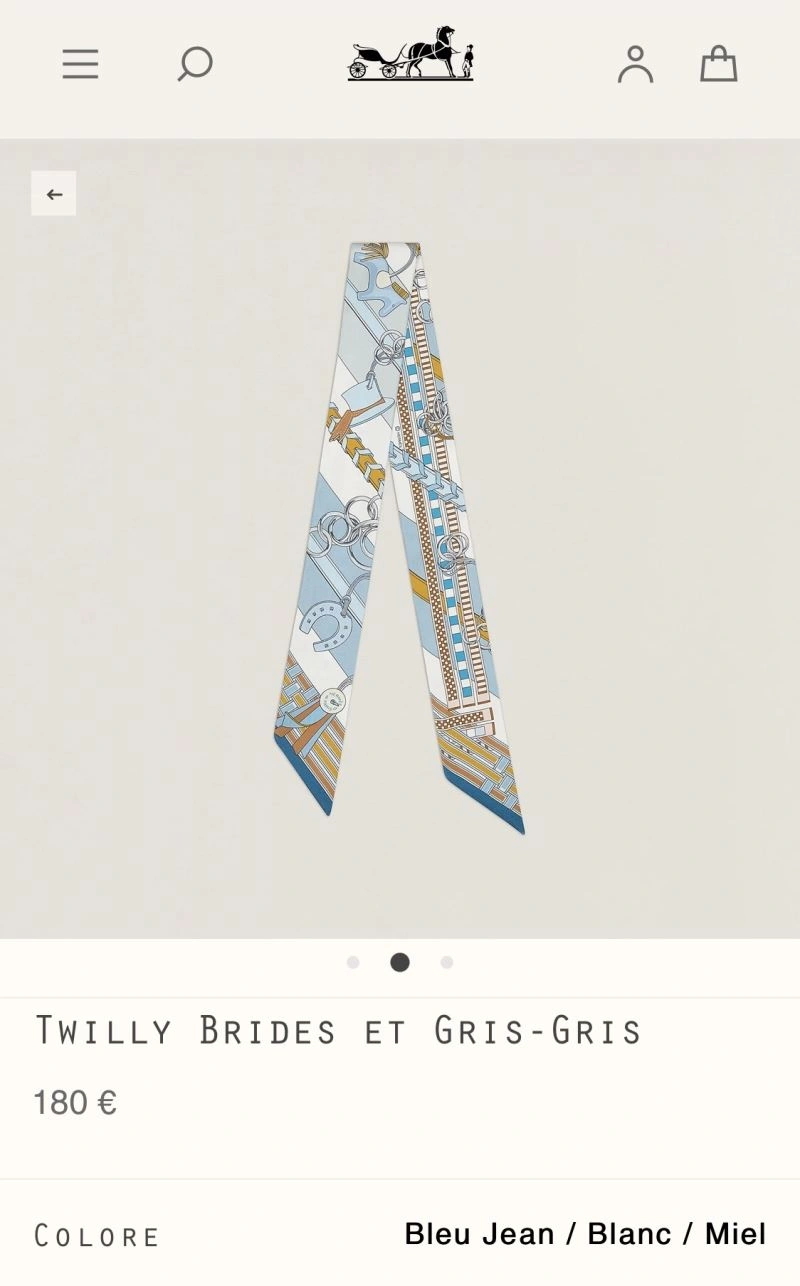 Hermes Silk