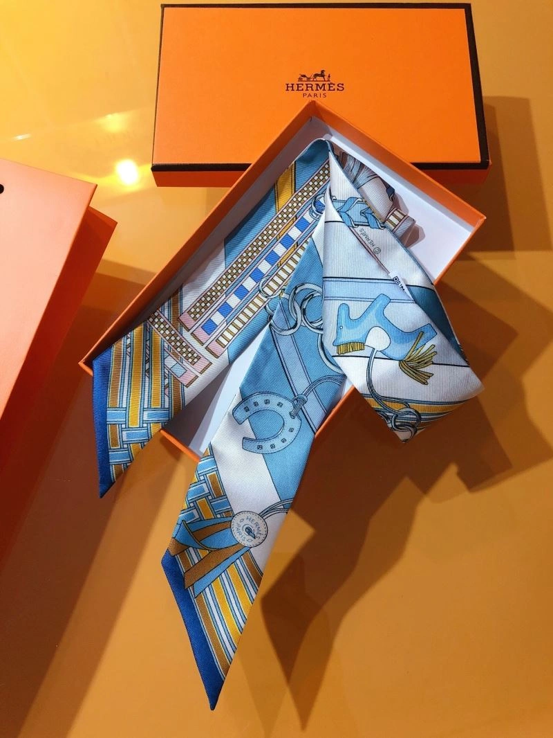 Cut-rate Hermes Silk