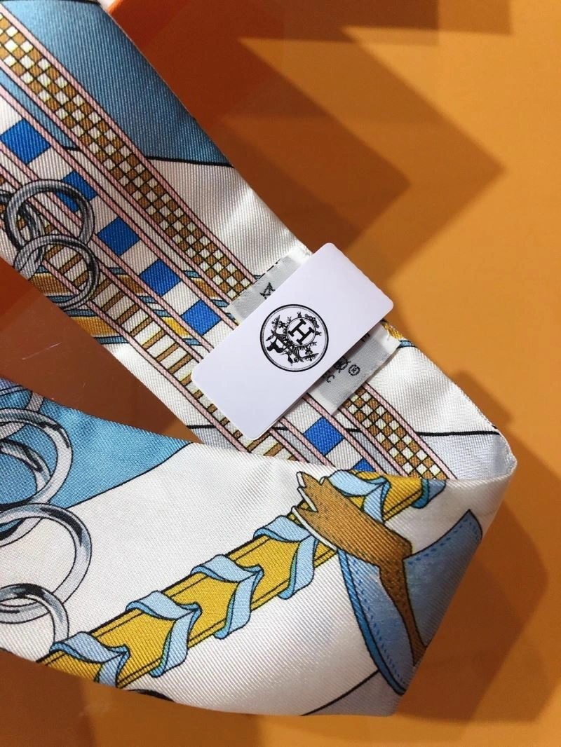 Cut-rate Hermes Silk