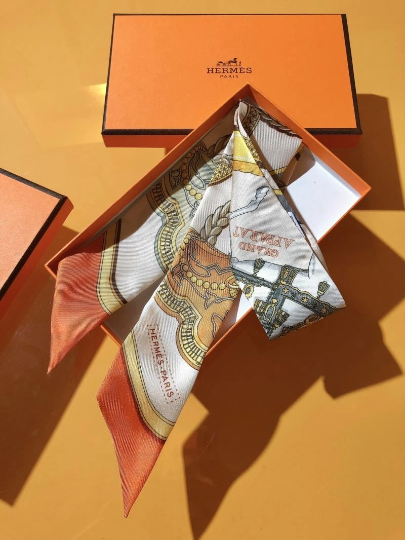 Inexpensive Hermes Silk