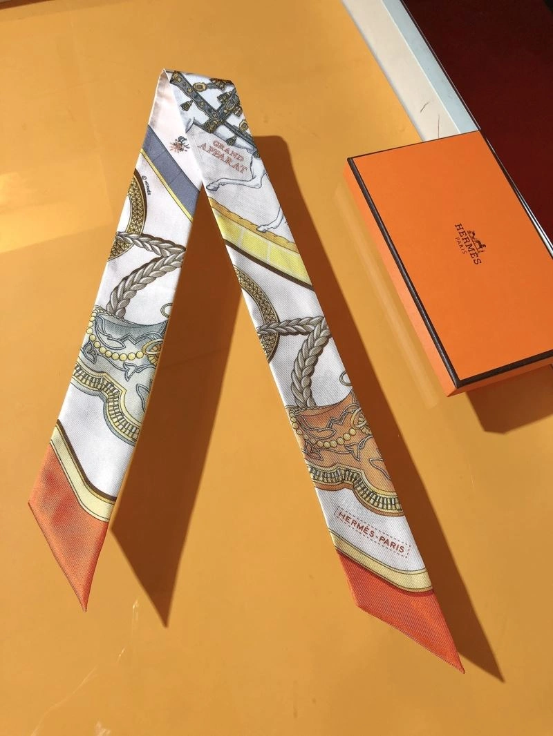 Inexpensive Hermes Silk