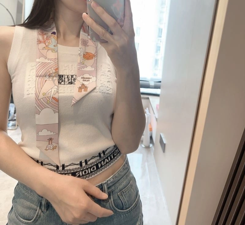 Hermes Silk