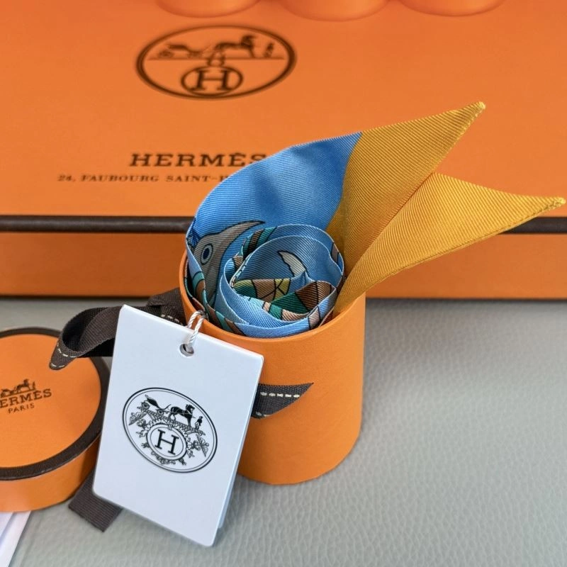 Economical Hermes Silk