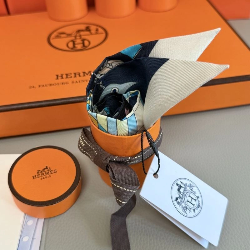 Top match Hermes Silk