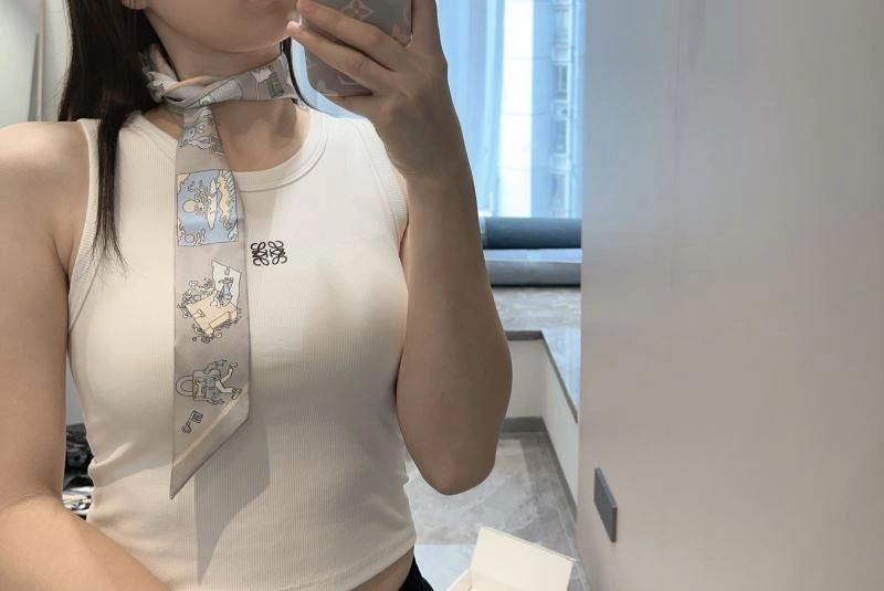 Mirror quality Hermes Silk
