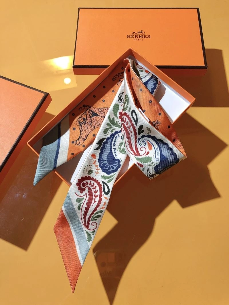 Cut-rate Hermes Silk