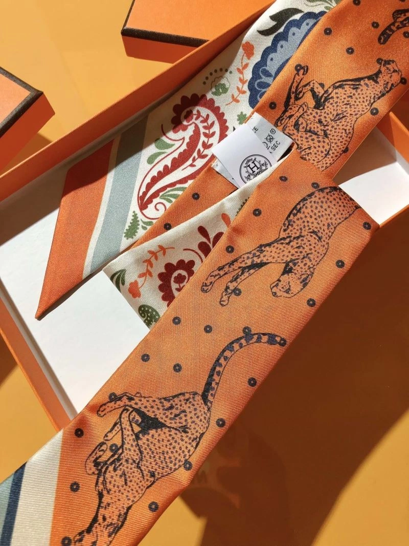 Cut-rate Hermes Silk
