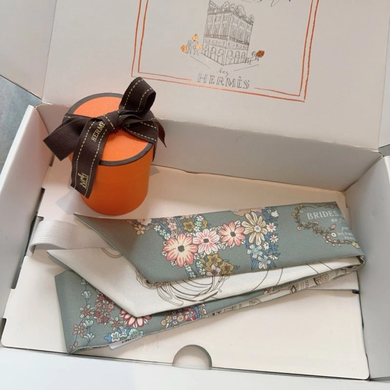 Affordable Hermes Silk