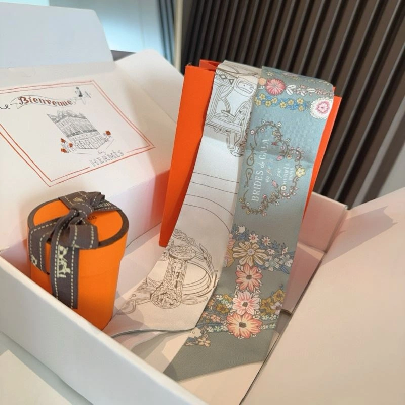 Affordable Hermes Silk