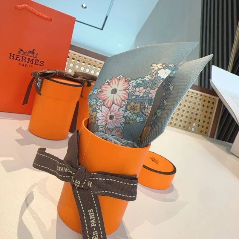 Affordable Hermes Silk