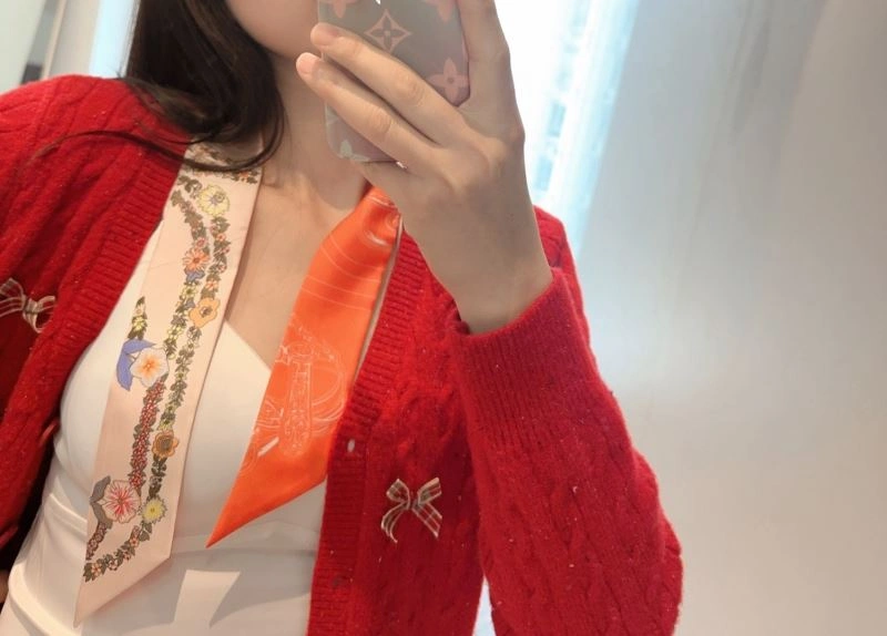 Hermes Silk