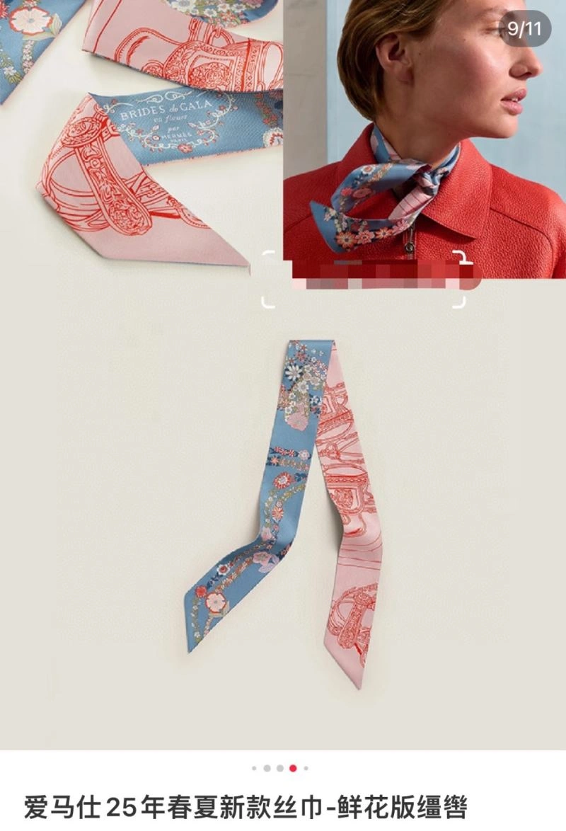 Hermes Silk