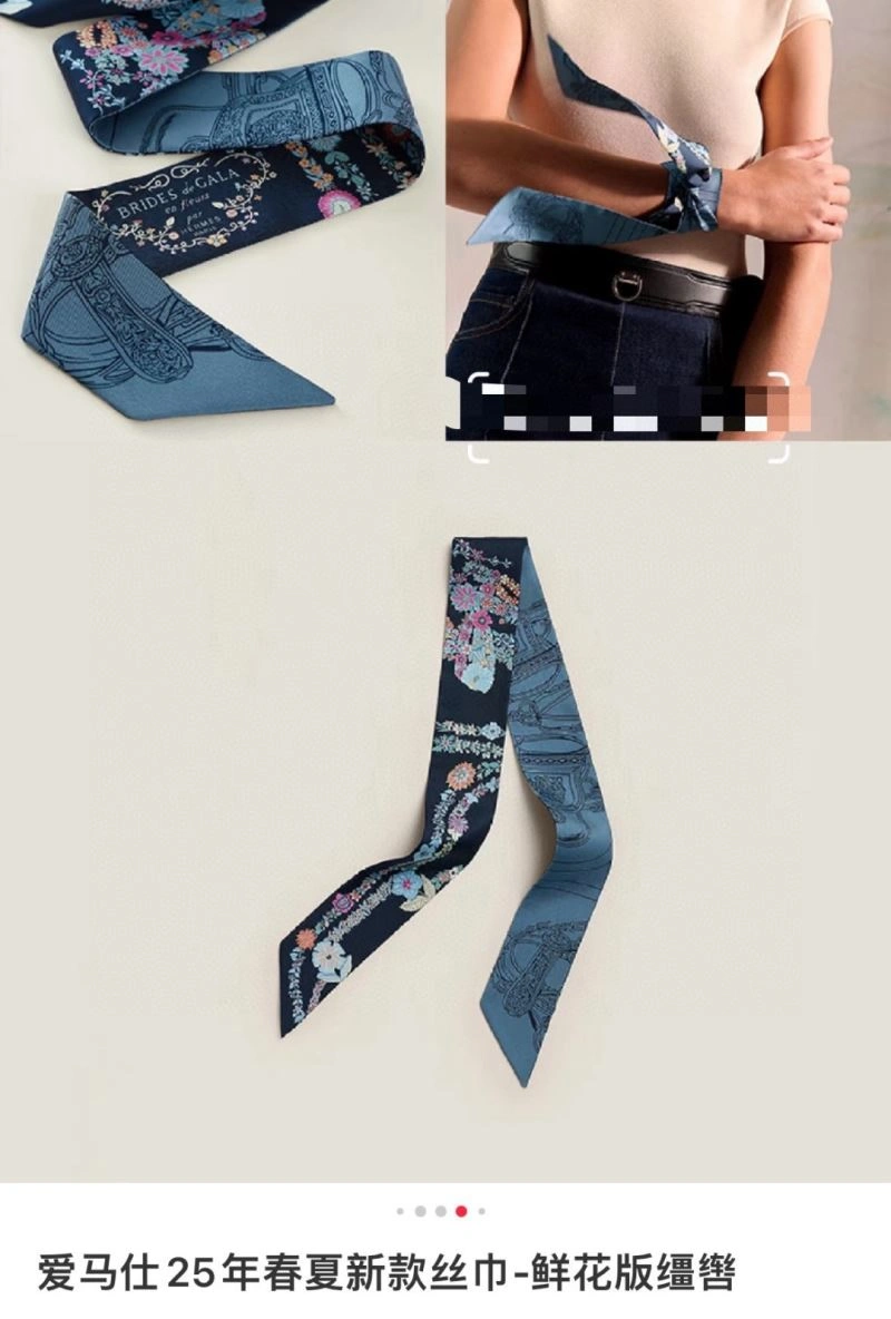 Hermes Silk