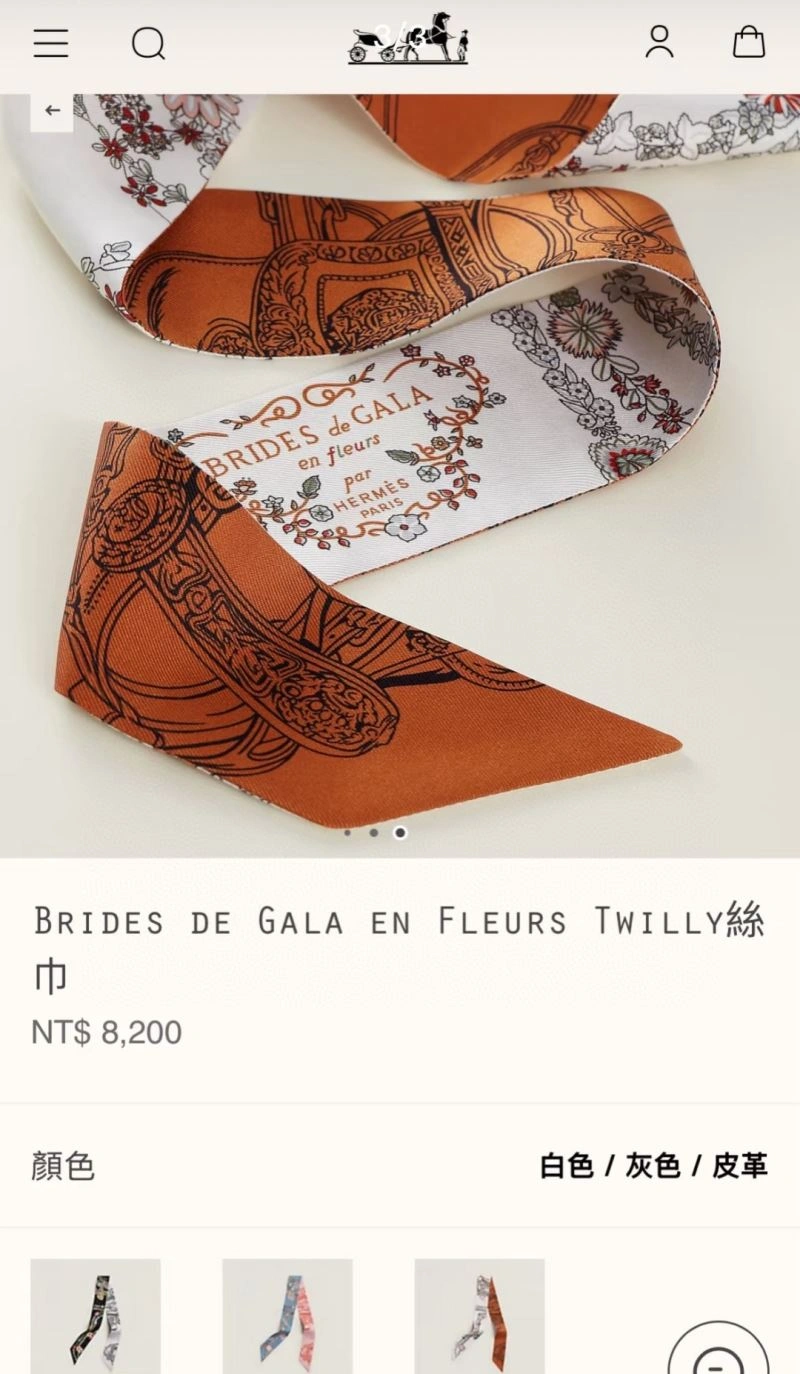 Hermes Silk