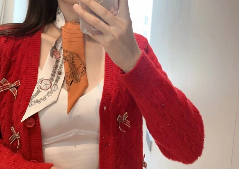 Brand-authenticated Hermes Silk