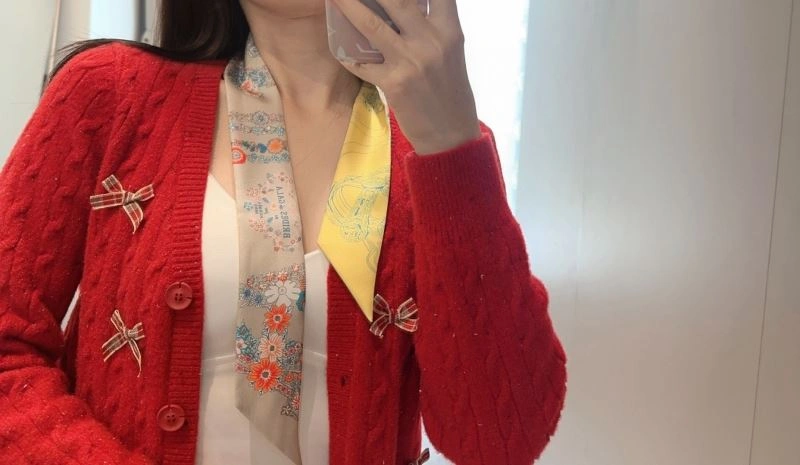 Hermes Silk