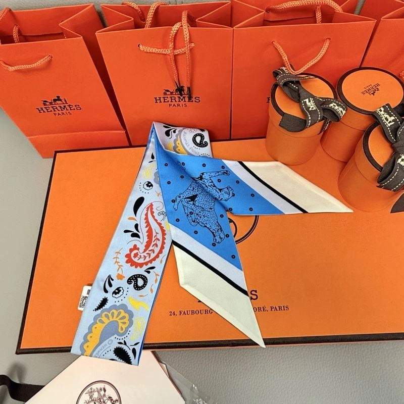 Cut-rate Hermes Silk