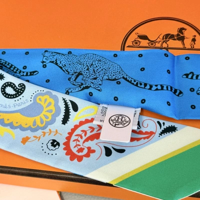 Cut-rate Hermes Silk