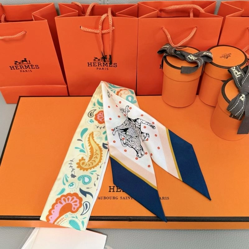 Inexpensive Hermes Silk