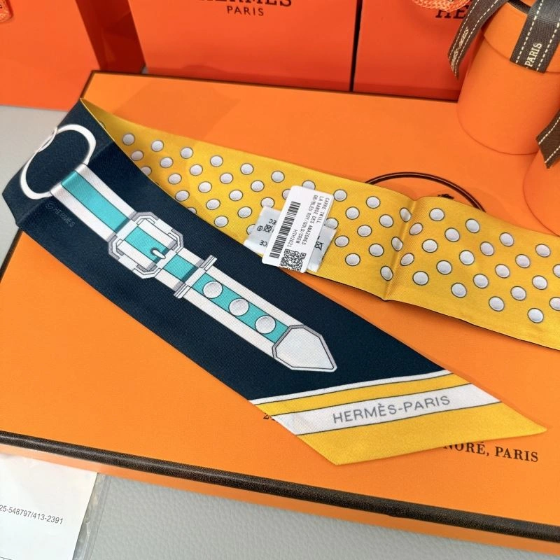 Discounted Hermes Silk