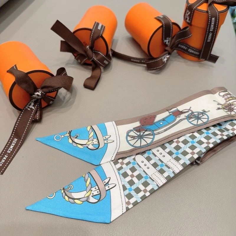 Indistinguishable Hermes Silk