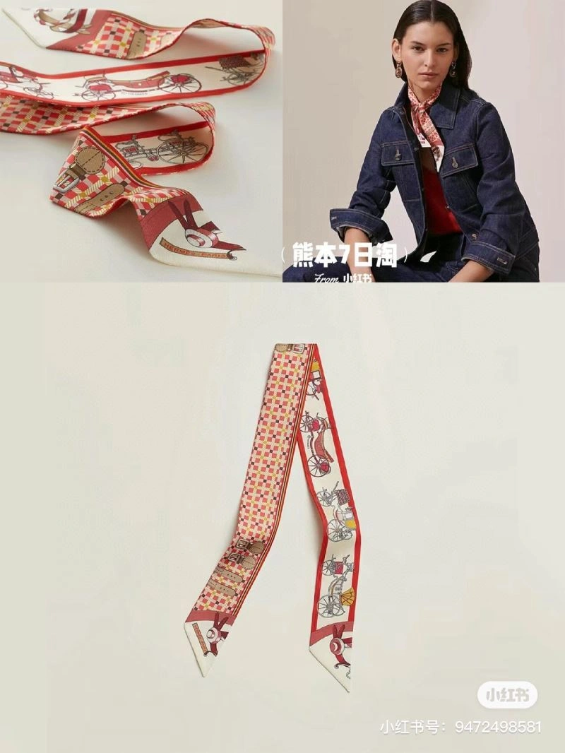 Hermes Silk
