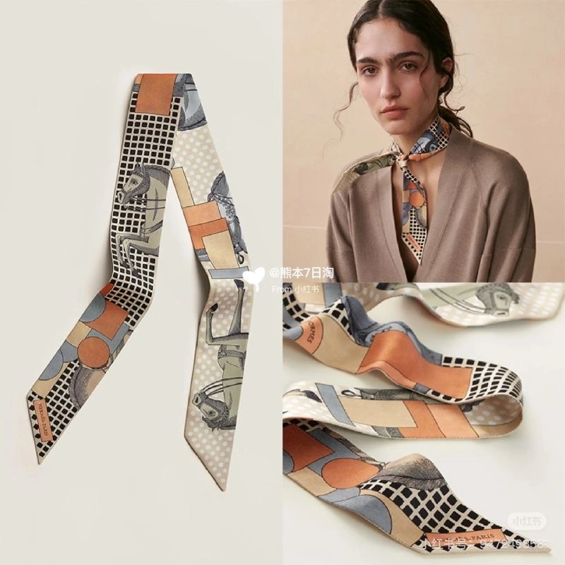Hermes Silk
