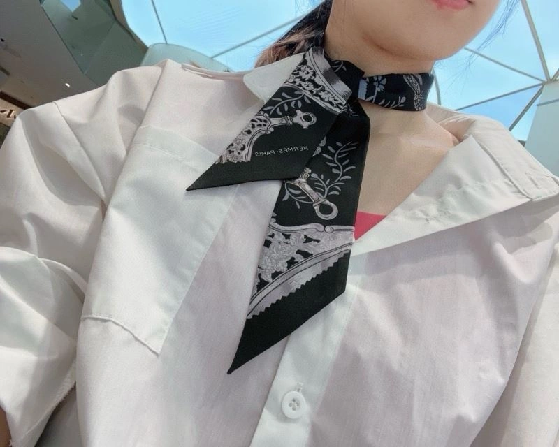 Top match Hermes Silk